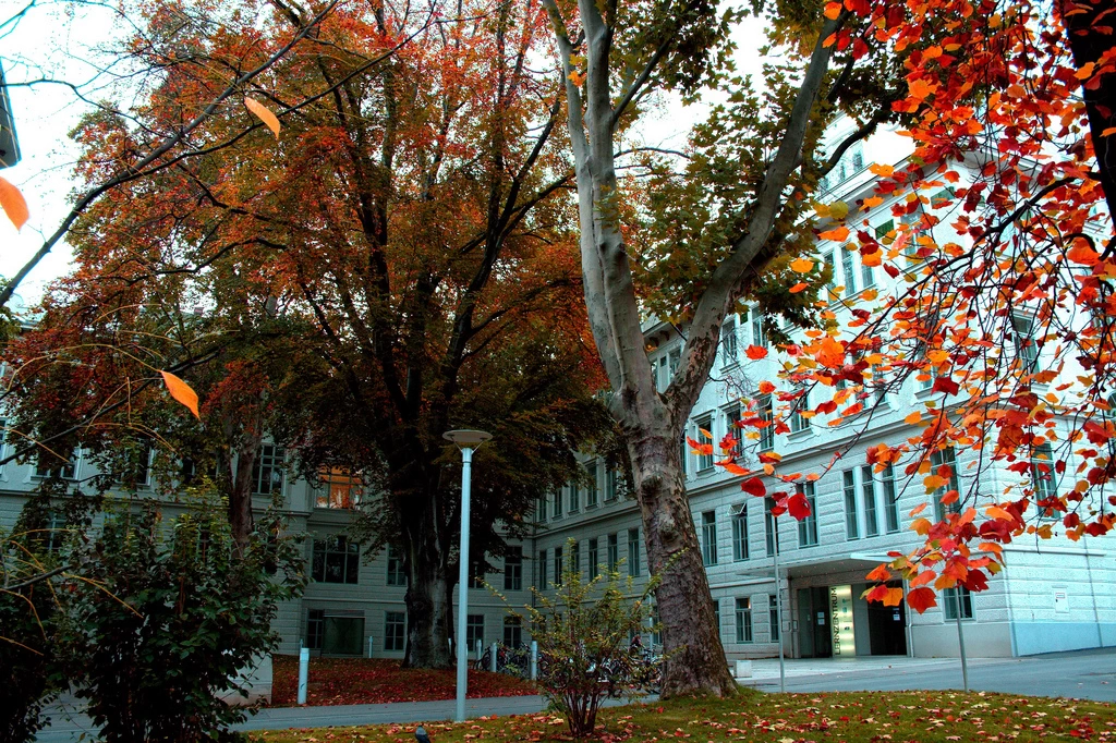 Medical University Vienna: Excellence in Metabolic Care