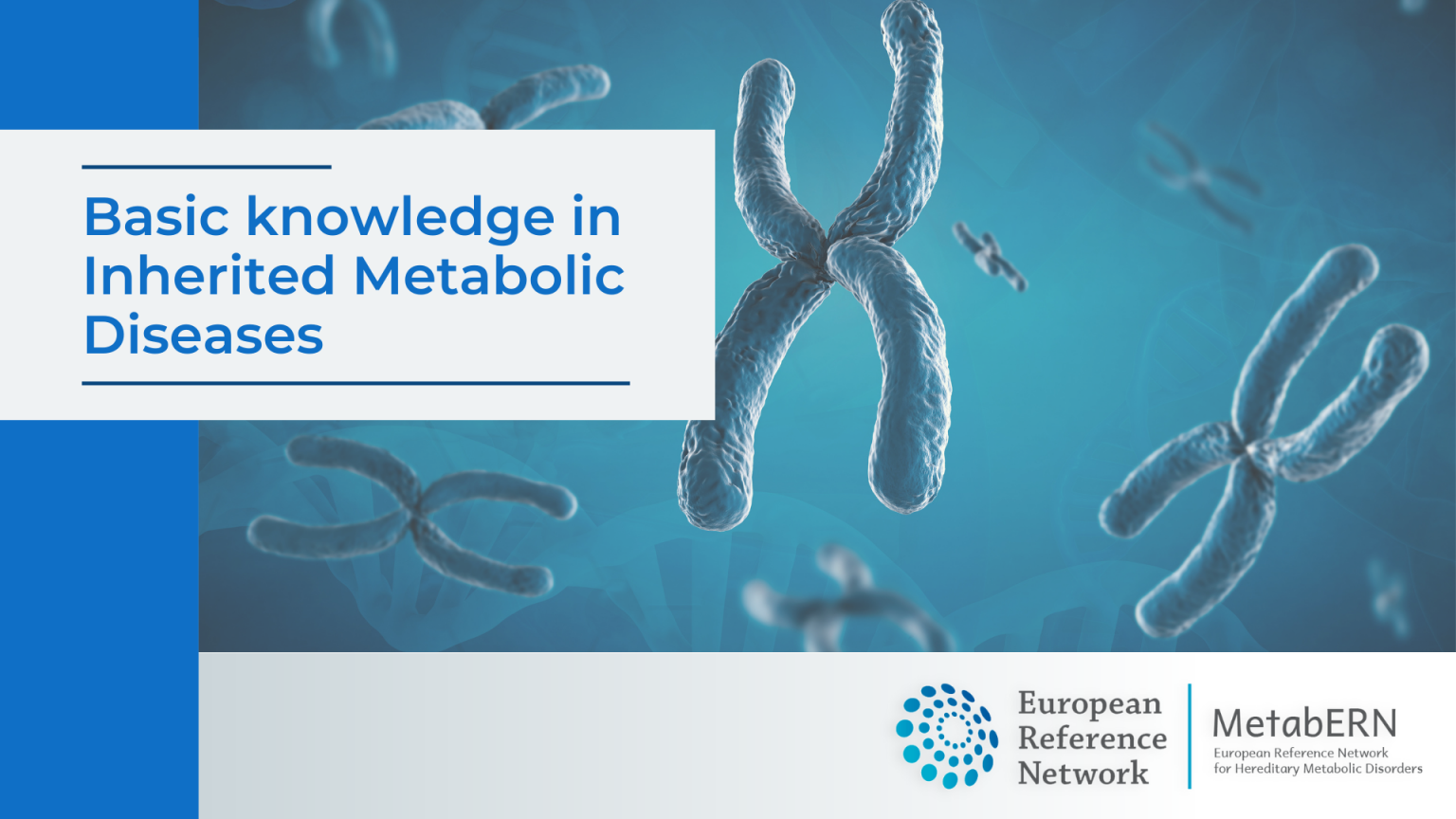 MetabERN Education Programme in Rare Metabolic Disorders